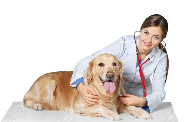 Super Vet Doc Foundation